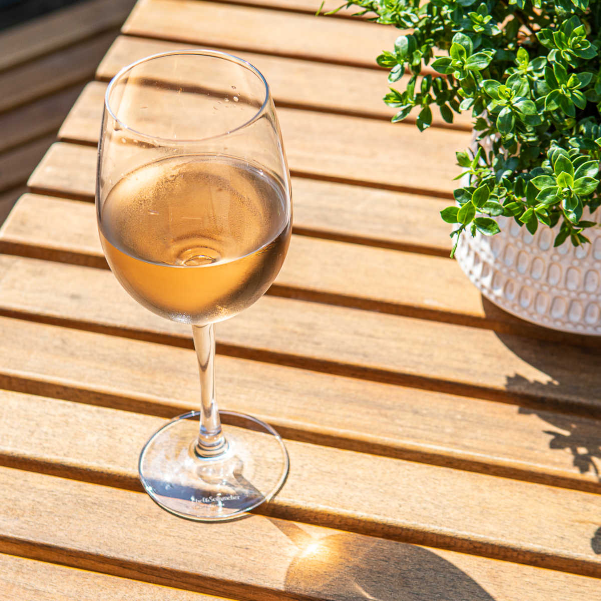 Golden Fleece: Drink